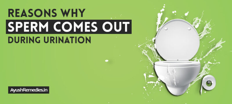 Reasons Why Sperm Comes Out During Urination Ayurvedic Treatment